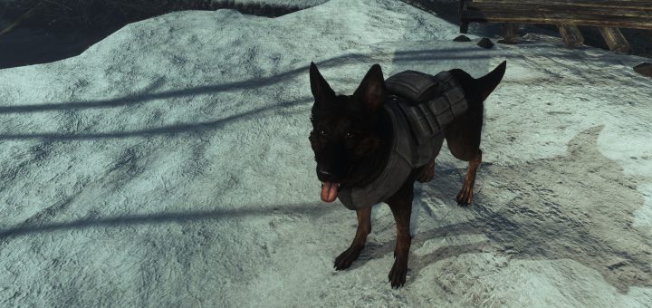 Fallout 4 Companions Mods | Best Fallout 4 Companions Mods